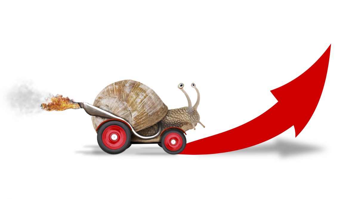 Speedy snail | Randy Pennington